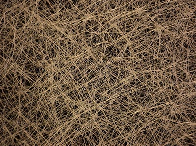 HS Code 7019 Products and Tariffs | HS/HTS Code Lookup